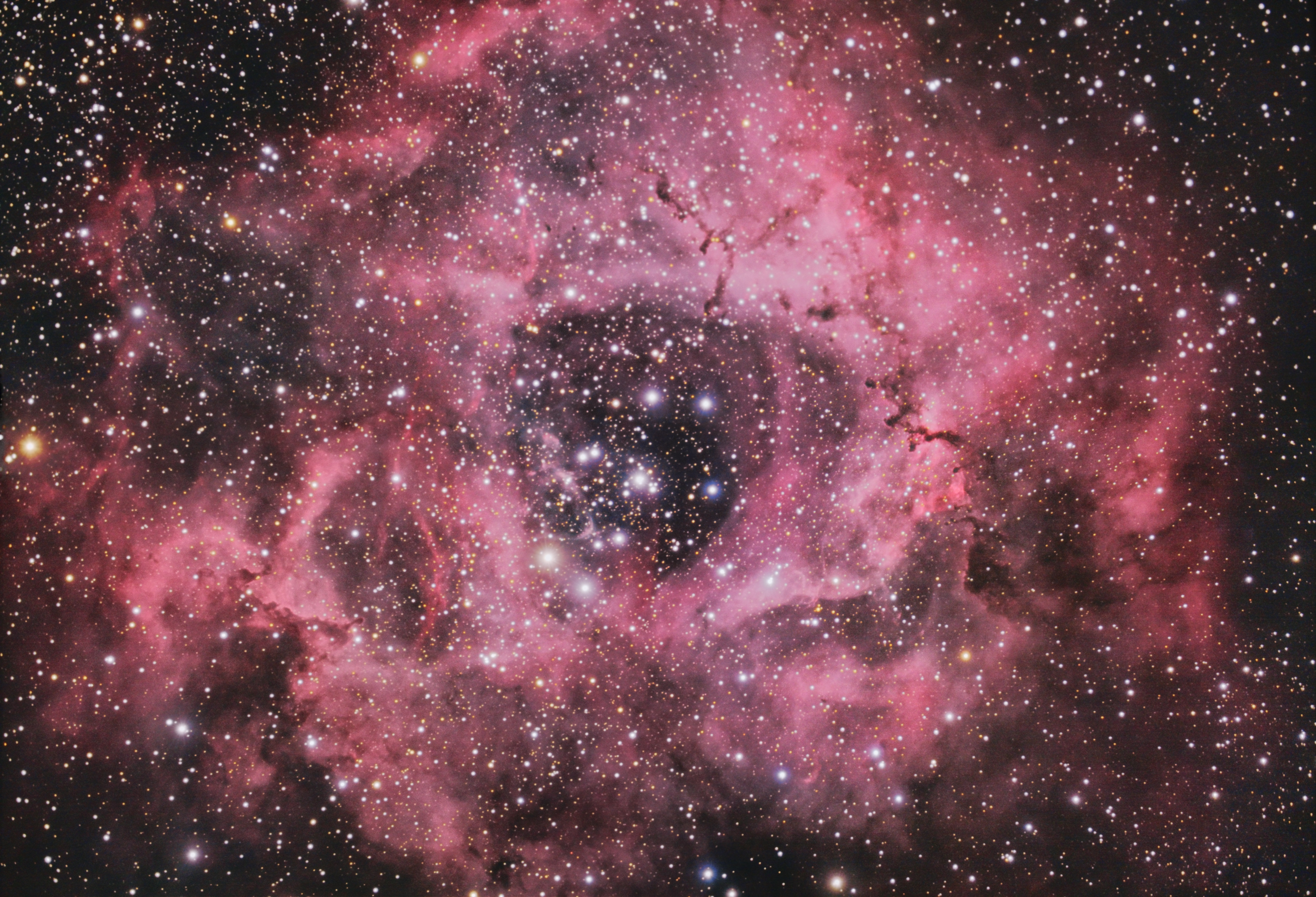 NGC 2237 - The Rosette Nebula in Monoceros - DSLR, Mirrorless & General ...